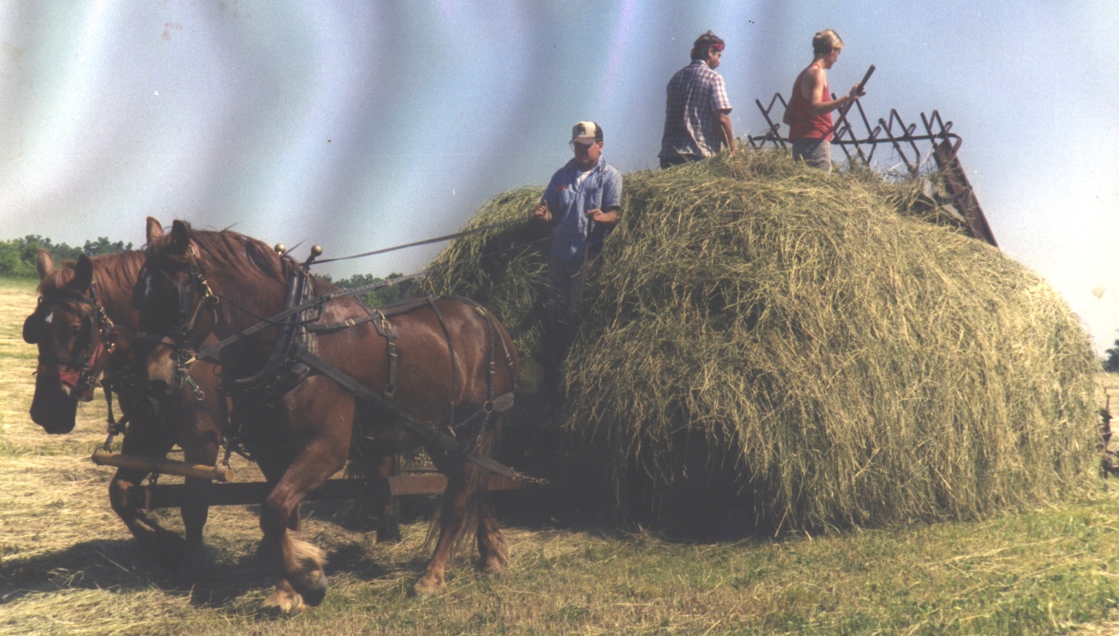 Stitch 'n Hitch - Farm Harness