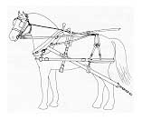 Stitch 'n Hitch - Optional Harness Styles